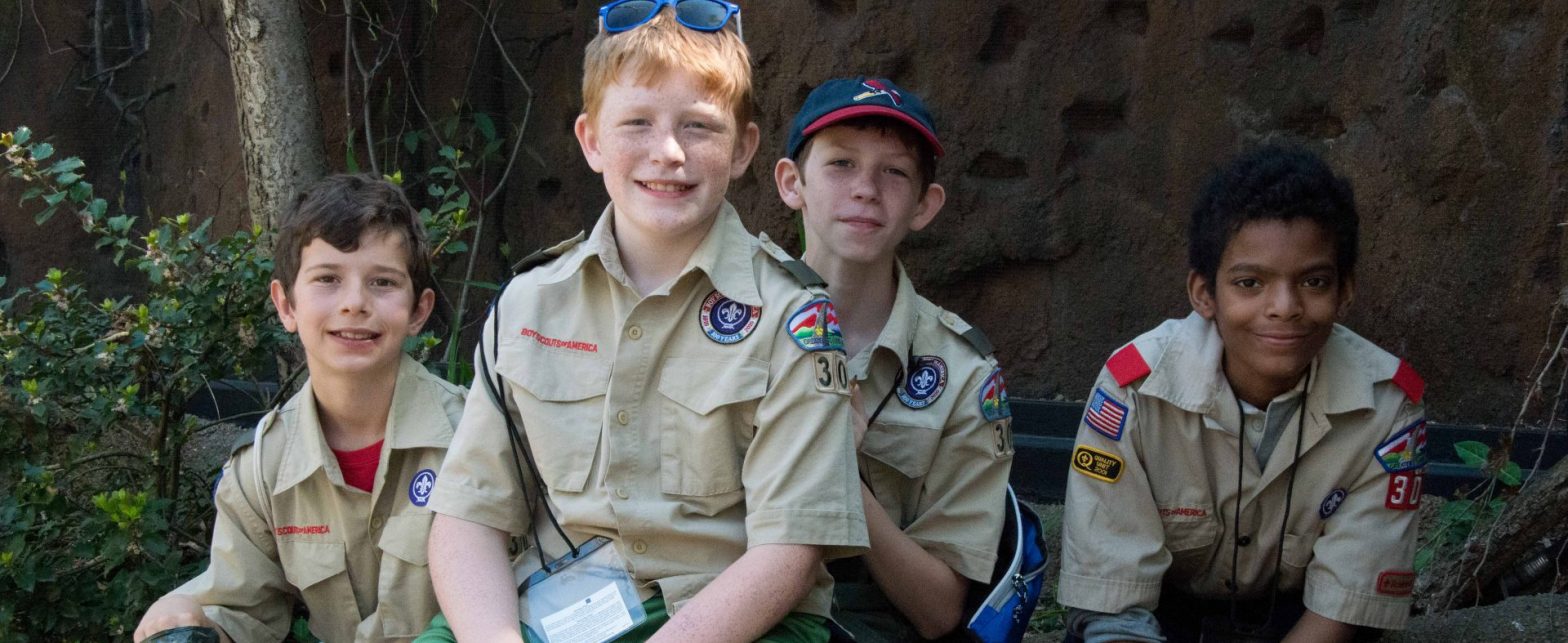 New Horizons District Calendar | Greater St. Louis Area Scouting
