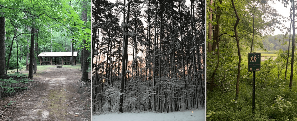 Pine Ridge | St. Louis Area Scouts