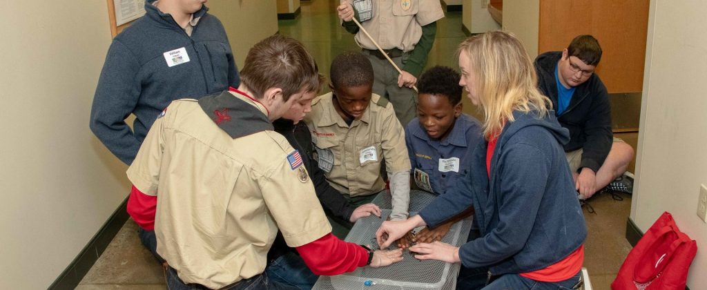 STEM | Greater St. Louis Area Scouting