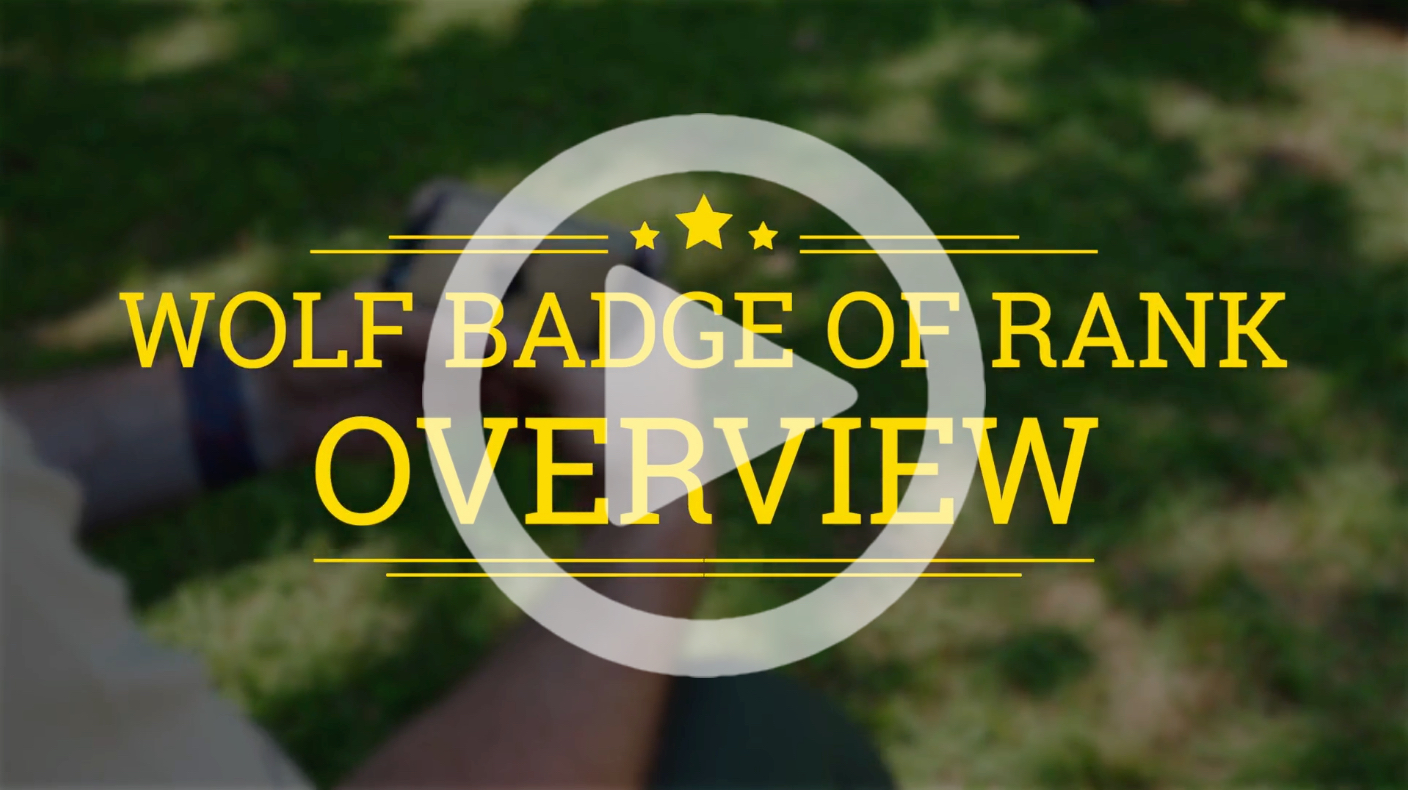 Cub Scouts Toolbox | Greater St. Louis Area Scouting